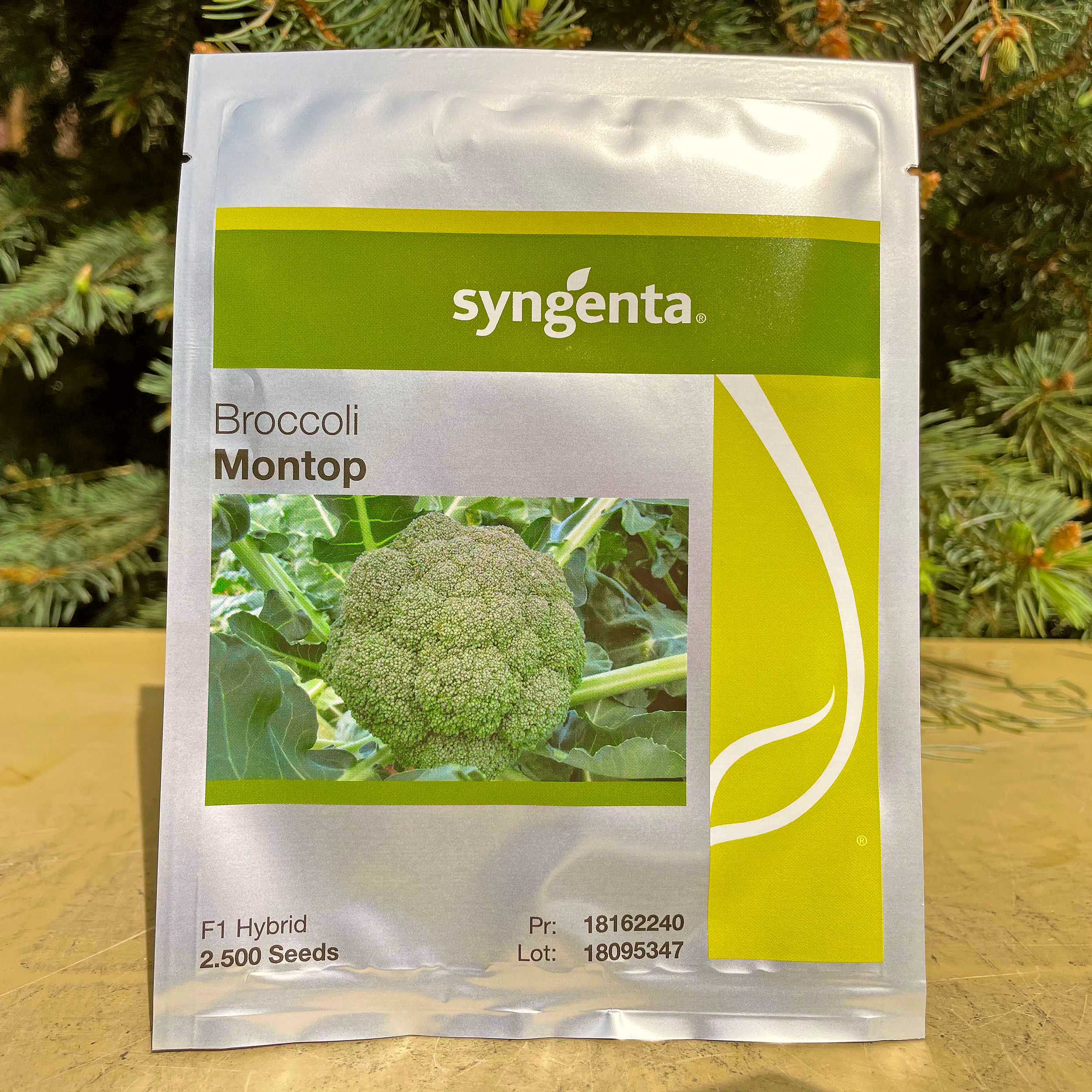 Syngenta Seeds – AGROINPUT.AM — Crop protection assurance of rich harvest!